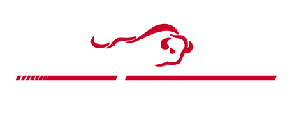 Products – Bison Life